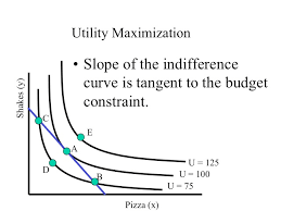 Budget-maximization theory (20TH CENTURY) - HKT Consultant